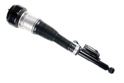 China 2213201138 Air Suspension Parts Air Suspension Strut for sale