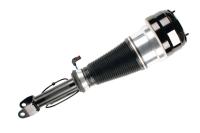 China 2213209613 Air Suspension Parts Air Suspension Strut for sale