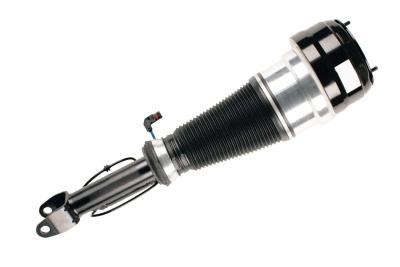 China 2213209613 Air Suspension Parts Air Suspension Strut for sale