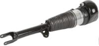 China 37107915953 Air Suspension Parts Air Suspension Strut for sale