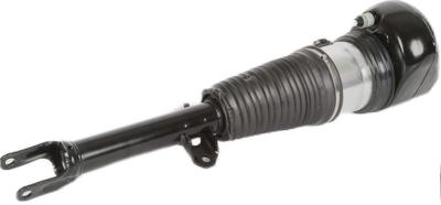 China 37107915953 Air Suspension Parts Air Suspension Strut for sale