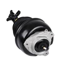 China 2123203238 Air Suspension Parts Front Air Suspension Strut for sale