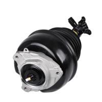 China 2123203138 Air Suspension Parts Front Air Suspension Strut for sale