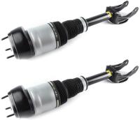 China 1663202613 Air Suspension Parts Air Suspension Strut for sale