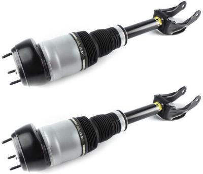 China 1663202613 Air Suspension Parts Air Suspension Strut for sale