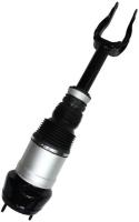 China 1663202513 Air Suspension Parts Air Suspension Strut for sale