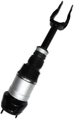 China 1663202513 Air Suspension Parts Air Suspension Strut for sale