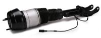 China 1663201313 Air Suspension Parts Air Suspension Strut for sale
