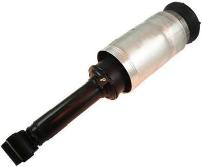 China RNB501620 Air Suspension Parts Air Suspension Strut for sale