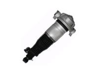 China 7L8616019C Air Suspension Parts Air Suspension Strut for sale
