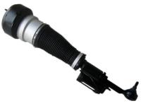 China 2213200338 Air Suspension Parts Air Suspension Strut for sale