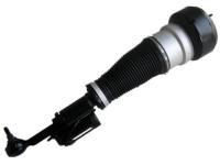 China 2213200238 Air Suspension Parts Air Suspension Strut for sale