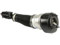 China 2213203513 Air Suspension Parts Air Suspension Strut for sale