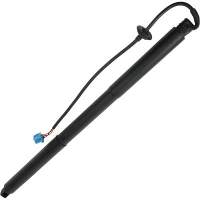 China 1668901130 Gas Spring Boot for sale