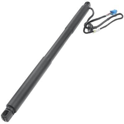 China 1668900100 Gas Spring Boot for sale