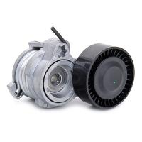 China BMW 11287549588 Engine Parts Drive Belt Tensioner With Pulley for sale