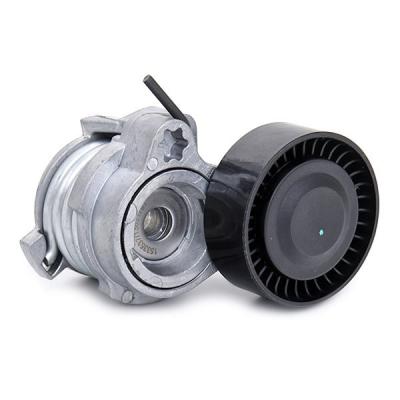 China BMW 11287549588 Engine Parts Drive Belt Tensioner With Pulley for sale