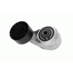 China Mercedes Benz 1042000570 Engine Parts Engine Belt Tensioner for sale