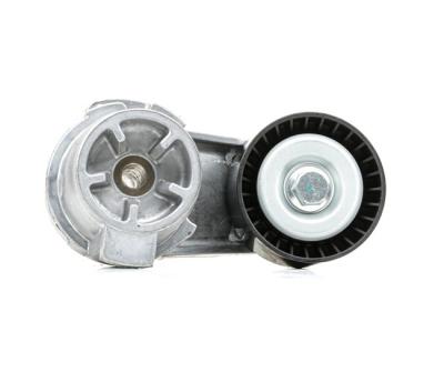 China BMW 11288604266 Engine Parts Drive Belt Tensioner for sale