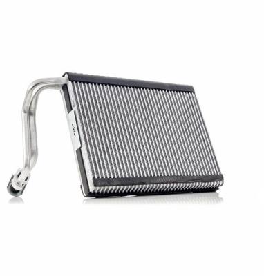 China BMW 64116975553 Auto AC and Electricity Parts Air Conditioning Evaporator for sale