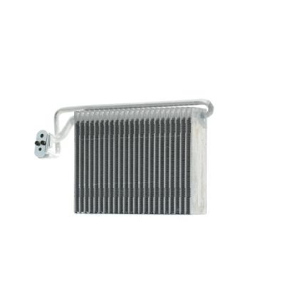 China BMW 64119135744 Auto AC and Electricity Parts Air Conditioning Evaporator for sale