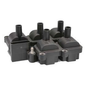 China 071905106 Engine Parts Ignition Coil for VW GOLF, SEAT for sale