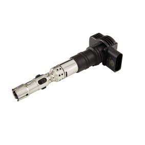 China 077905115S Engine Ignition Coil Stable Operation For VW PHAETON 3D1 3D2 for sale