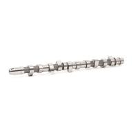 China 074109101J Engine Parts Camshaft for AUDI A6, VW LT for sale
