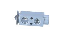 China Mercedes Benz 1698300684 Auto AC and Electricity Parts Expansion Valve for sale