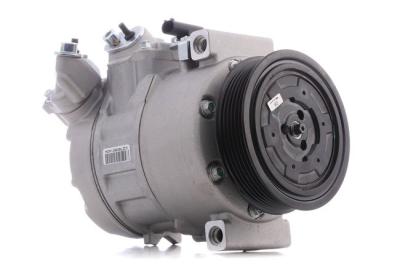 China BMW 64509174803 Auto AC and Electricity Parts A/C Compressor for sale