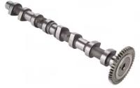 China Mercedes Sprinter 6110500001 Engine Parts Camshaft for sale