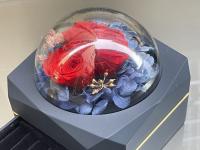 China Eternal Life flower jewelry box---True flowers for sale