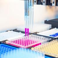 China EL-2400 Automated ELISA: Sample Allocation, Reagent Sampling, Oscillation, Incubation, Plate Washing for sale