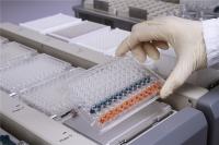 China HEALES Robotic Automated Liquid Handling Systems Antibody Screening for sale