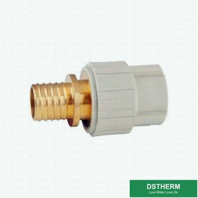 China PEX PPR Brass Slide Fittings 1/2