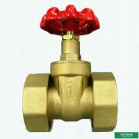 China Flexible Brass Union Gate Valve With Plastic Ppr Part Ball Check Valve for sale