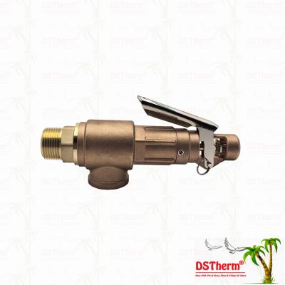 China Brass Safety Valve 1/2