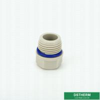 China Plastic Ppr Pipe Fittings Equal Shape , Round Head Polyethylene Pipe Plugs for sale