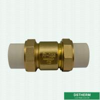 China Corrosion Resistant Recyclable Ppr Brass Check Valve for sale