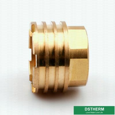 China Customized Designs Precise Inserts Female Brass Inserts  For Ppr Fittings for sale