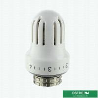 China Heating Valve Head High Quality Best Thermostatic Radiator Valve Head Customized Logo for sale