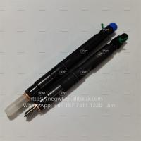 China 28229876 DELPHI Diesel Fuel Injectors Common Rail Injector 320-06827 for JCB for sale
