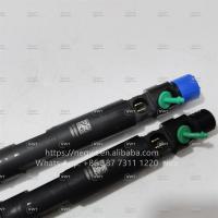 China 28229876 DELPHI Diesel Fuel Injectors Common Rail Injector 320-06827 for JCB for sale