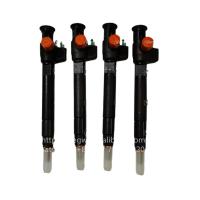 China Common DELPHI Diesel Fuel Injectors 9674984080 DS7Q-9F593-BB 28319895 28388960 28602948 for sale