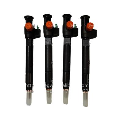 China Common DELPHI Diesel Fuel Injectors 9674984080 DS7Q-9F593-BB 28319895 28388960 28602948 for sale
