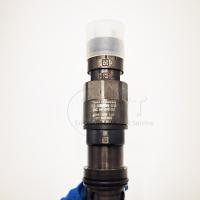 China Common Rail Fuel Injector 0445120642 for  A4710701787 0445120642 Fuel Injector for sale