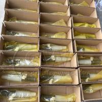 China D13 Injector Diesel Common Rail BEBE4D24001 7421340611 9021371672 3801618 85003263 for sale