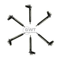 China Original Genuine common rail fuel Injectors 0445116041 fuel injector 0445115067 35062005F for sale
