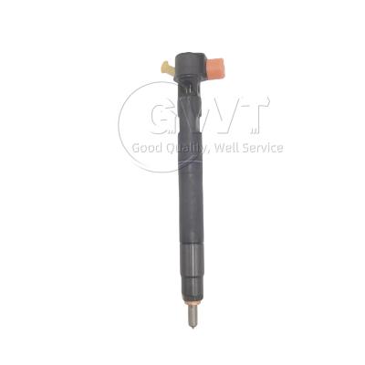 China OEM DELPHI Diesel Fuel Injectors 28489562 25183185 25195088 for sale