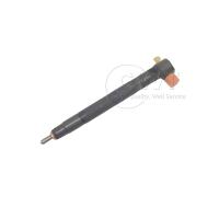 China OEM DELPHI Diesel Fuel Injectors 28489562 25183185 25195088 for sale